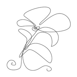 Continuous thin line flower minimalist botanical Vector Image