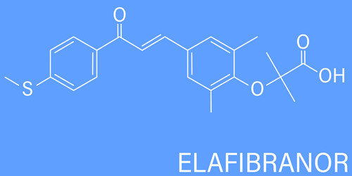 Nafld Vector Images (33)