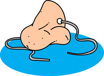 Big Nose Kid Vector Images (over 240)