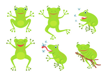 Frog Skin Vector Images (over 760)