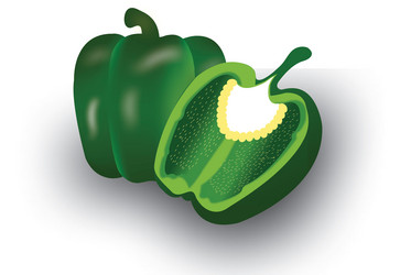 Capsicum Royalty Free Vector Image - VectorStock