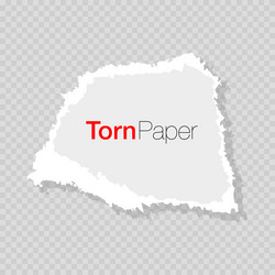 White ripped paper strip paper scrap torn edges Vector Image