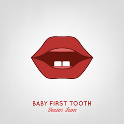 Baby first teeth chart Royalty Free Vector Image