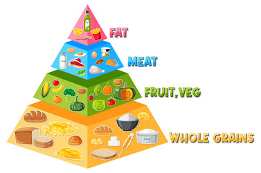 Cartoon food pyramid nutrition infographic Vector Image