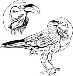 Raven Texture Vector Images (over 560)