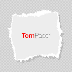 White ripped paper strip paper scrap torn edges Vector Image