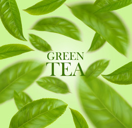 Tea background poster with typography Royalty Free Vector