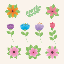 Nine Flowers Vector Images (over 740)
