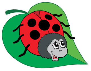 Cute ladybugs Royalty Free Vector Image - VectorStock
