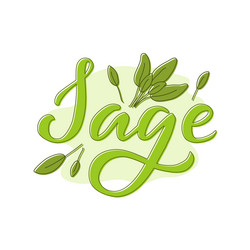 Sage Logo Vector Images (over 310)