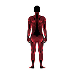 People character back view young human cartoon Vector Image