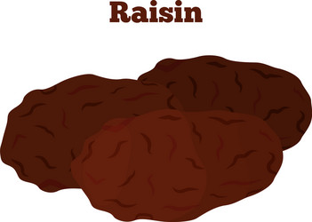 Dried fruit - raisin made in cartoon flat style Vector Image