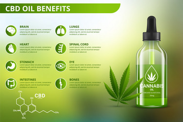 Infographic Template Cannabis Vector Images (over 320)
