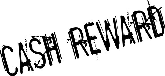 Cash reward rubber stamp Royalty Free Vector Image