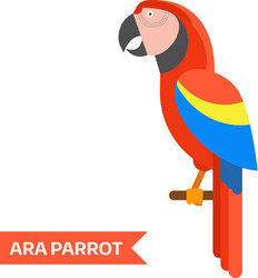 Parrot design Royalty Free Vector Image - VectorStock