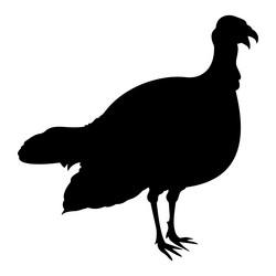 Turkey Hunting Vector Images (over 260)