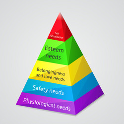 Basic Needs Maslow Pyramid Hierarchy Actual Vector Image