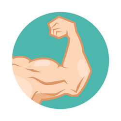 Cartoon flat style drawing of arm bicep strong Vector Image
