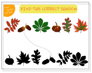 Find the correct shadow cartoon funny sheep educ Vector Image