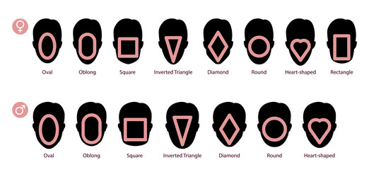 Forehead Shape Square Vector Images (95)