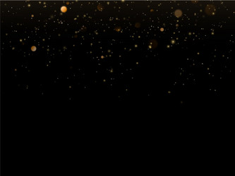 Overlay effect for luxury greeting rich card star Vector Image