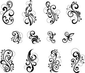 Floral shapes and ornaments Royalty Free Vector Image