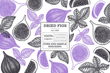 Hand drawn fig fruits design template organic Vector Image