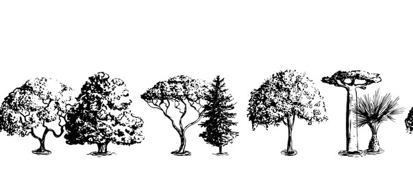 Pine forest hand drawn border Royalty Free Vector Image