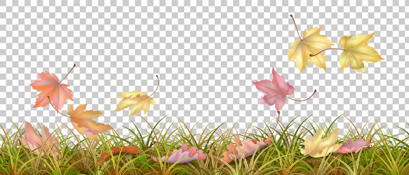 Fall Border Transparent Background Vector Images (over 2,600)