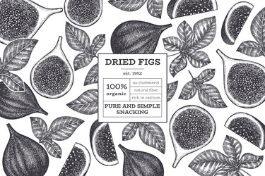 Hand drawn fig fruits design template organic Vector Image