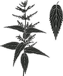 Nettle Icon Vector Images (over 270)