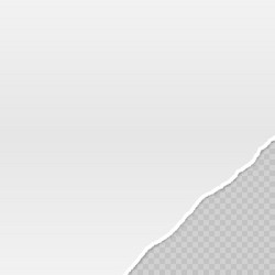 Ripped Paper Vector Images (over 18,000)