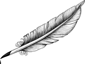 Quill Line Drawing