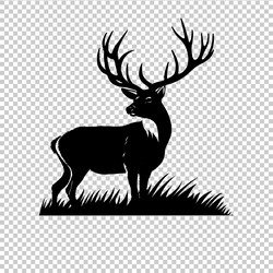 Whitetail deer Royalty Free Vector Image - VectorStock