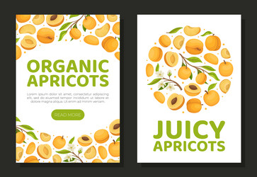 Apricot labels design with ripe fruit Royalty Free Vector