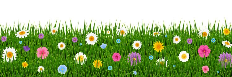 Green And Yellow Border Design