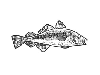 Cod fish hand-drawn Royalty Free Vector Image - VectorStock