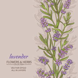 Lavender Vector Images (over 16,000)