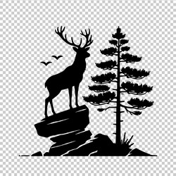 Whitetail deer Royalty Free Vector Image - VectorStock