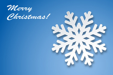 Christmas snowflake greeting Royalty Free Vector Image