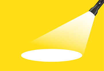 3d flashlight with projection spotlight on banner Vector Image