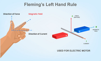 Flemings left hand rule and right hand rule 2 Vector Image