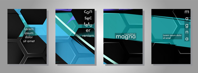 With minimal book cover design hexagon Royalty Free Vector