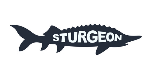 Sturgeon Logo Vector Images (over 230)