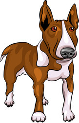 Bull Terrier Vector Images (over 2,600)