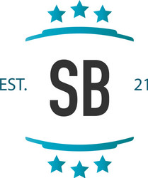 Initial letter dn star creative logo design Vector Image