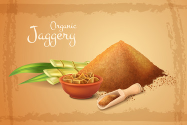 Jaggery realistic composition Royalty Free Vector Image
