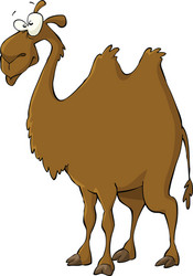 Camel Vector Images (over 18,000)