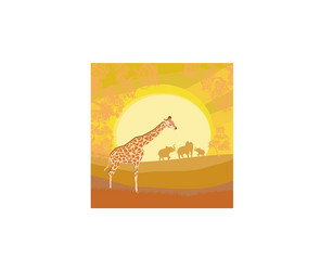Cartoon african savannah card poster - giraffes Vector Image