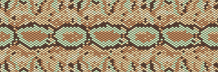 Seamless pattern of snake skin Royalty Free Vector Image